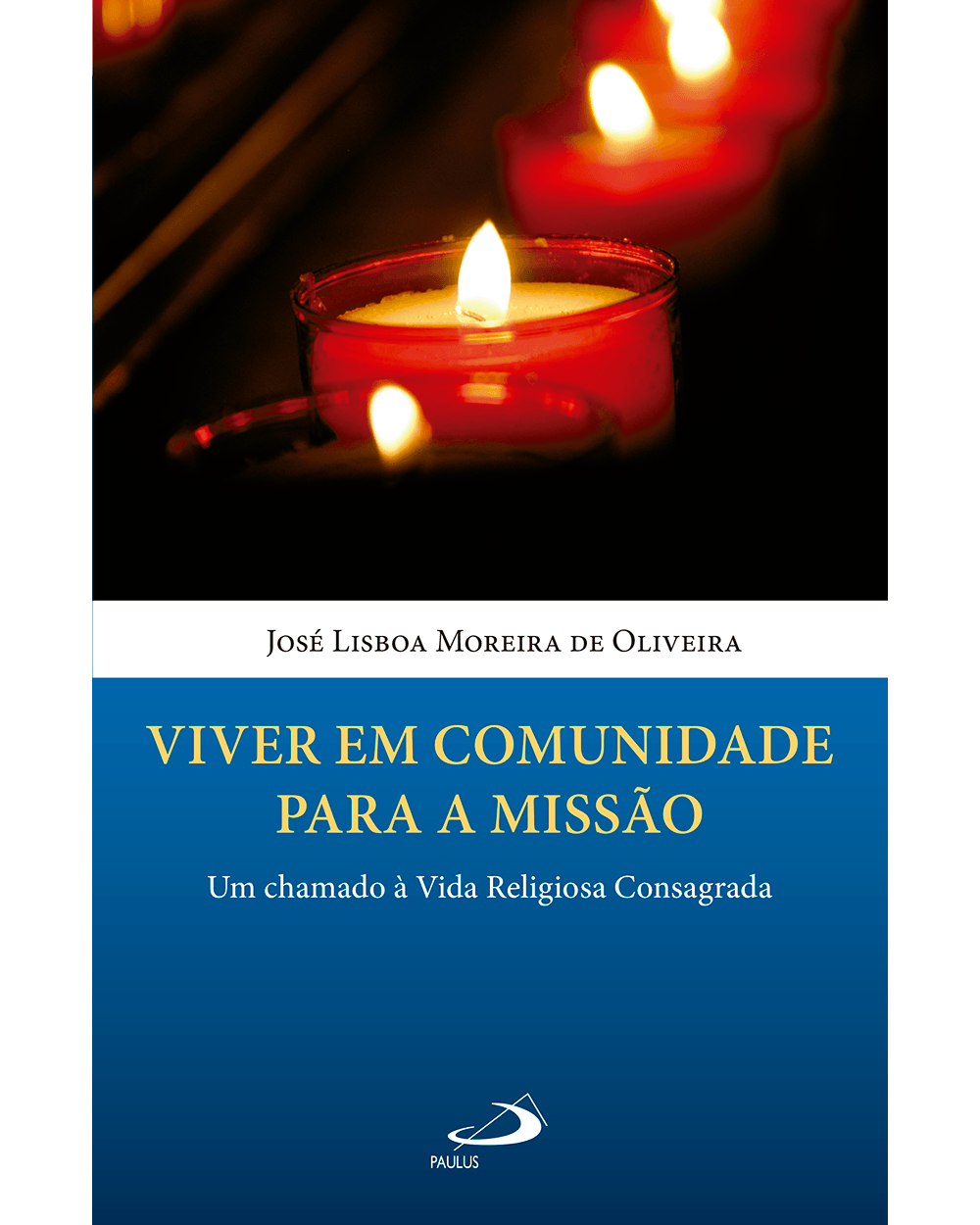 Viver em comunidade para a missão - Um chamado à Vida Religiosa ... Viver em comunidade para a missão - Um chamado à Vida Religiosa ...